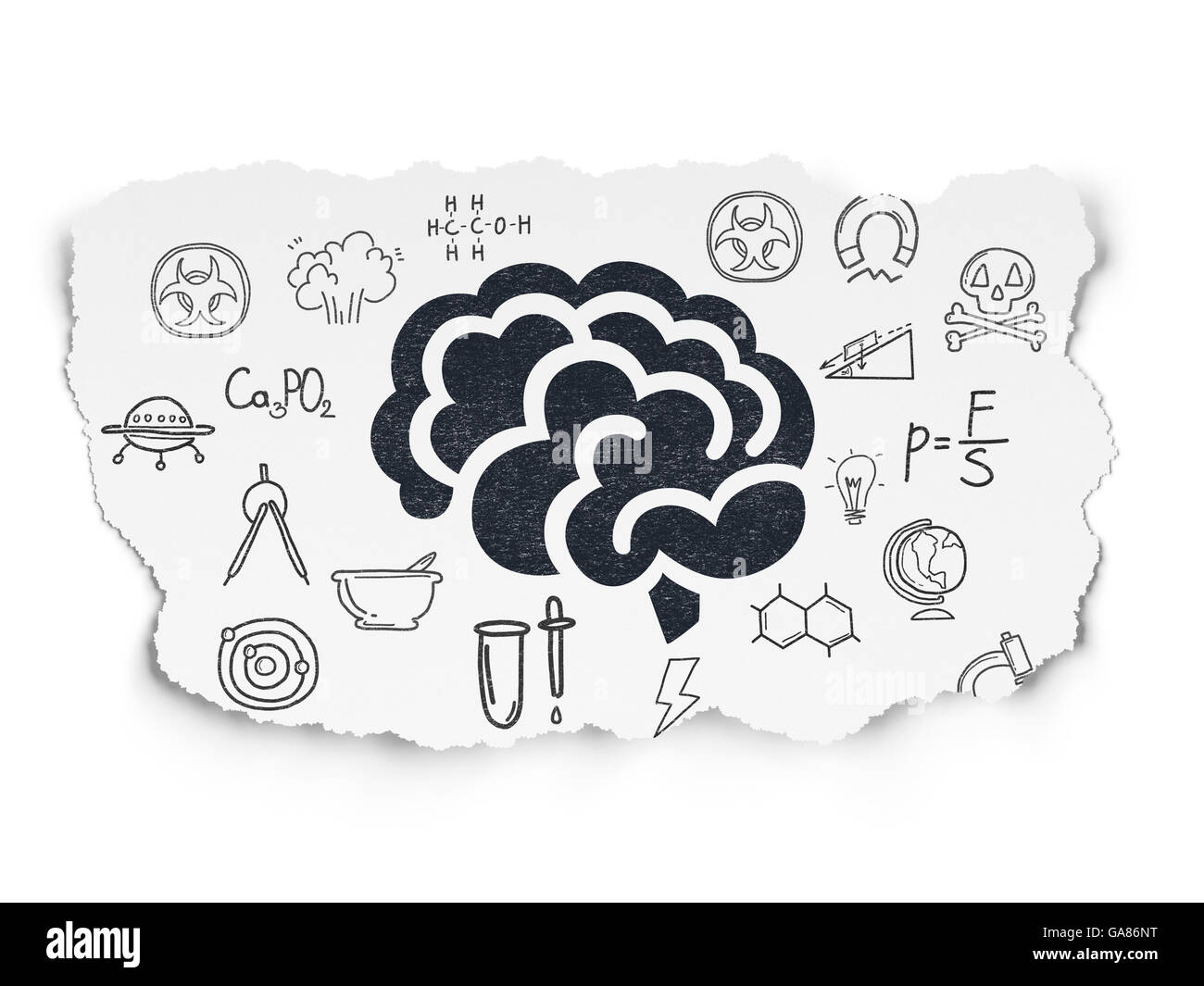Science concept: Brain on Torn Paper background Stock Photo - Alamy