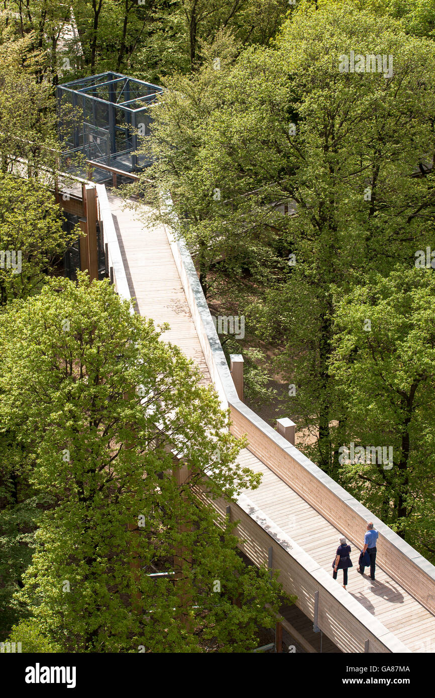 Baumwipfel pfad hi-res stock photography and images - Alamy