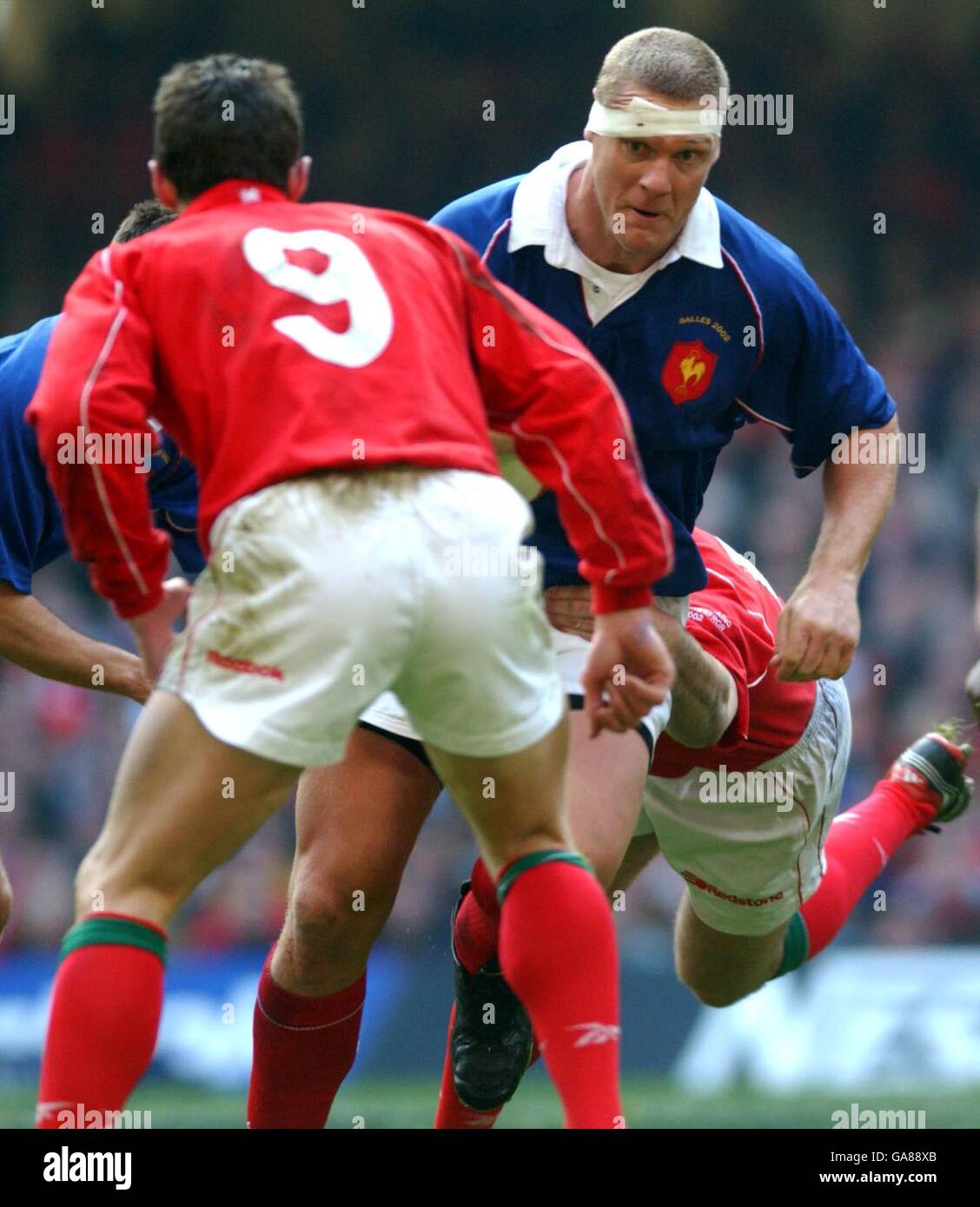 Frances steven hall eyes up wales rob howley hi-res stock photography ...