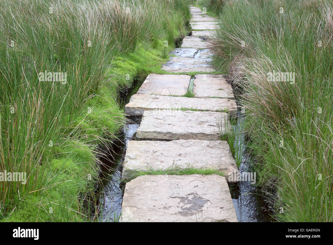 Footpath at Stanage in Peak District; England; UK Stock Photo - Alamy