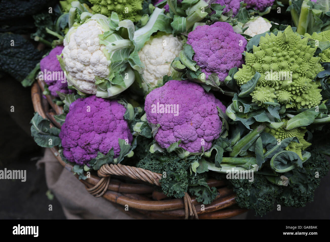 Purple romanesco broccoli hi-res stock photography and images - Alamy