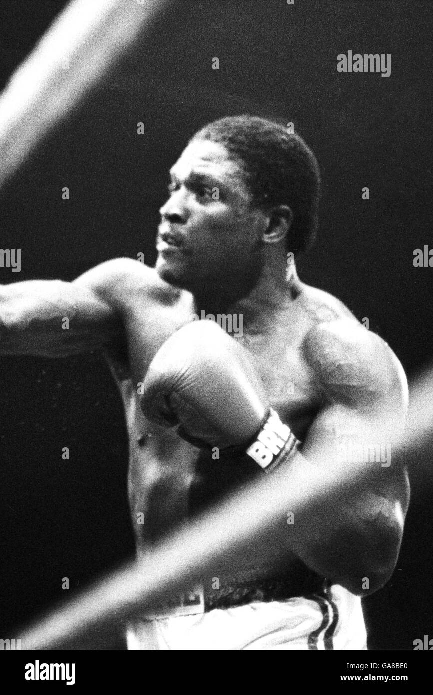 Boxing - Heavyweight - Trevor Berbick v Mark Lee Stock Photo - Alamy