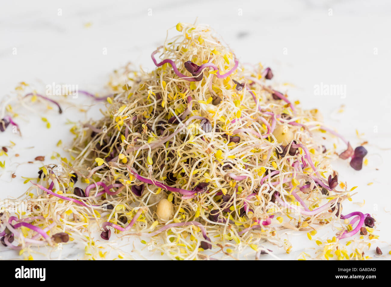 Fresh mixed Sprouts on white marble background Stock Photo - Alamy