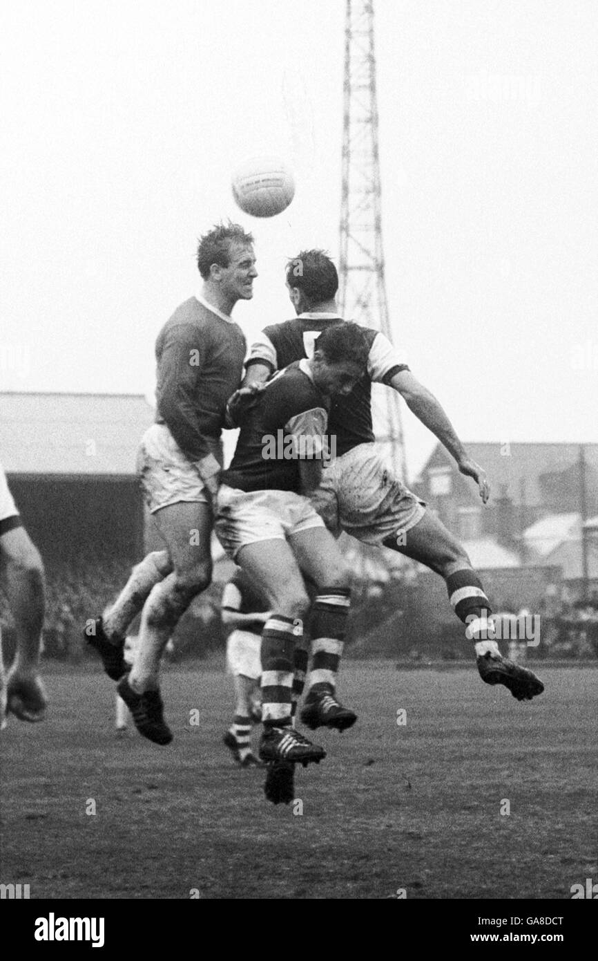 Maurice setters hi-res stock photography and images - Alamy