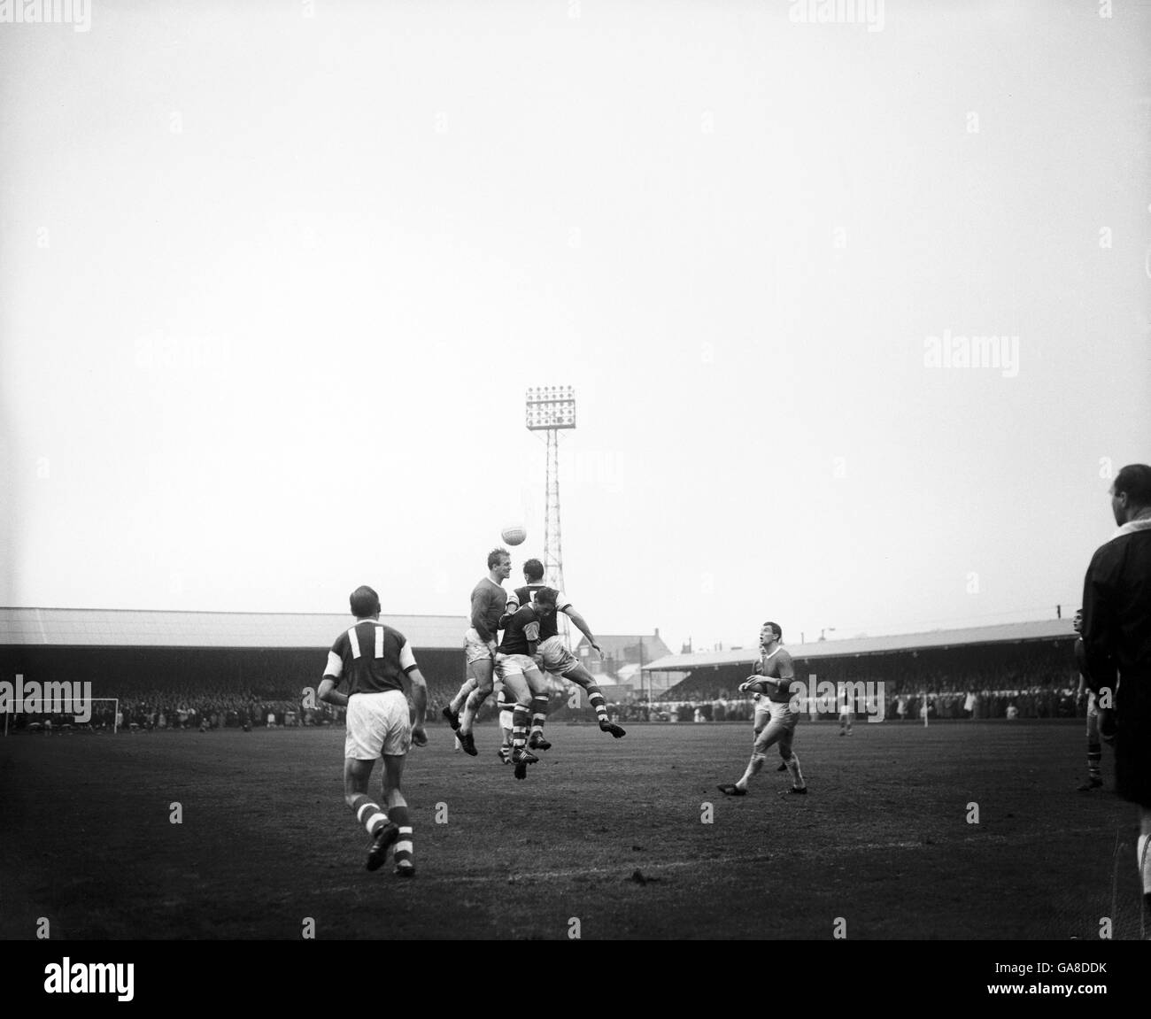 Maurice setters hi-res stock photography and images - Alamy