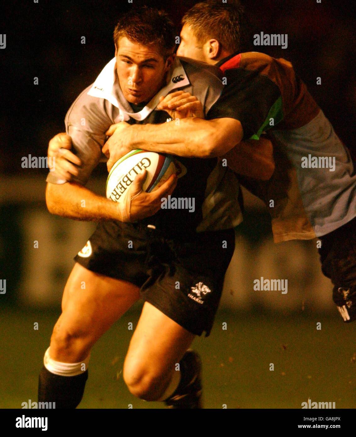 Rugby union the springbok bar challenge nec harlequins natal hi-res ...