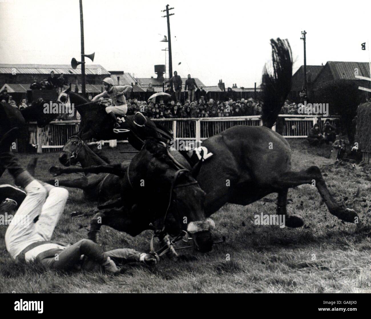 Horse racing injury hi-res stock photography and images - Alamy