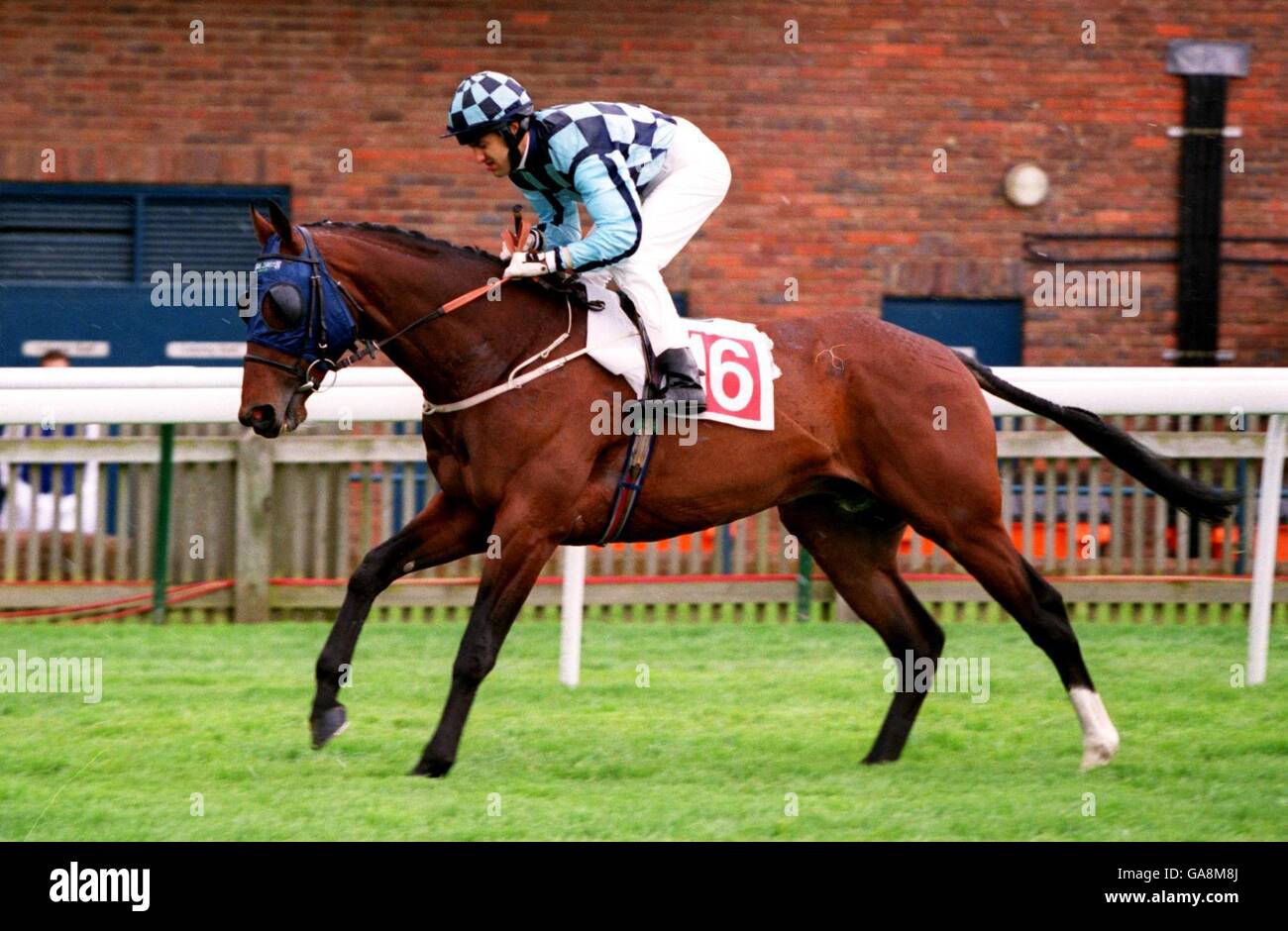 Horse Racing - Newmarket Races Stock Photo - Alamy