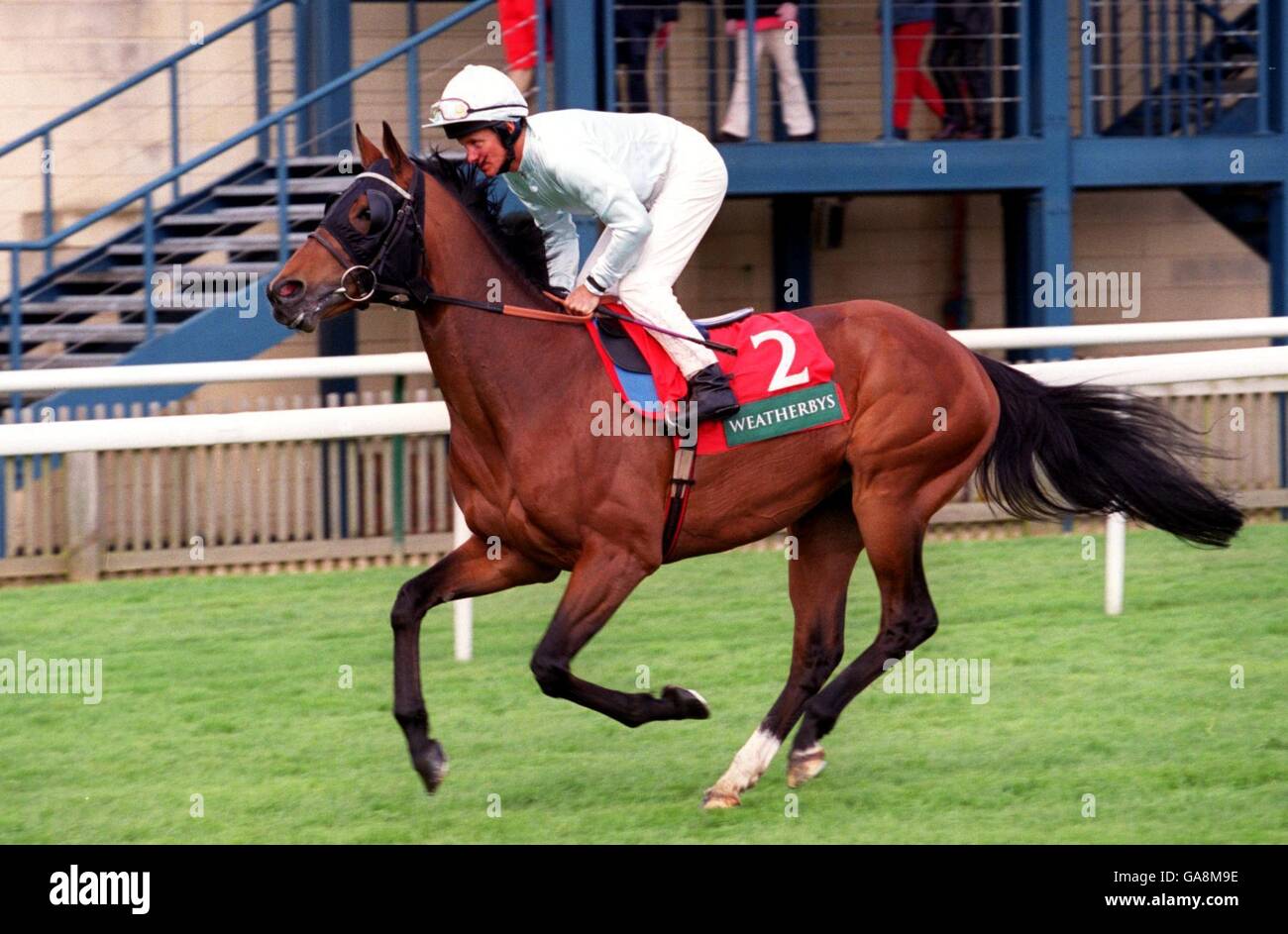 Horse Racing - Newmarket Races Stock Photo - Alamy