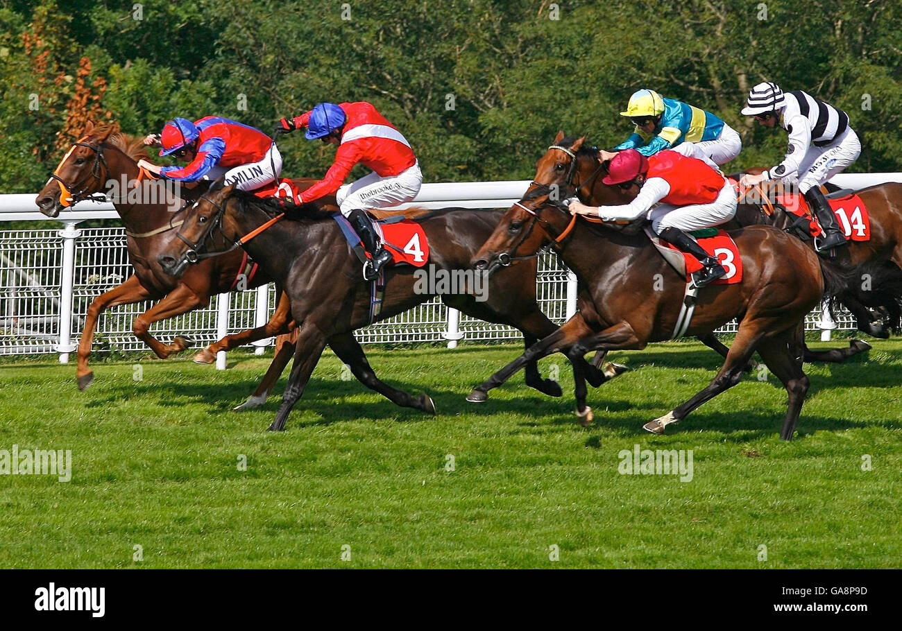 Horse racing number 3 hi-res stock photography and images - Alamy