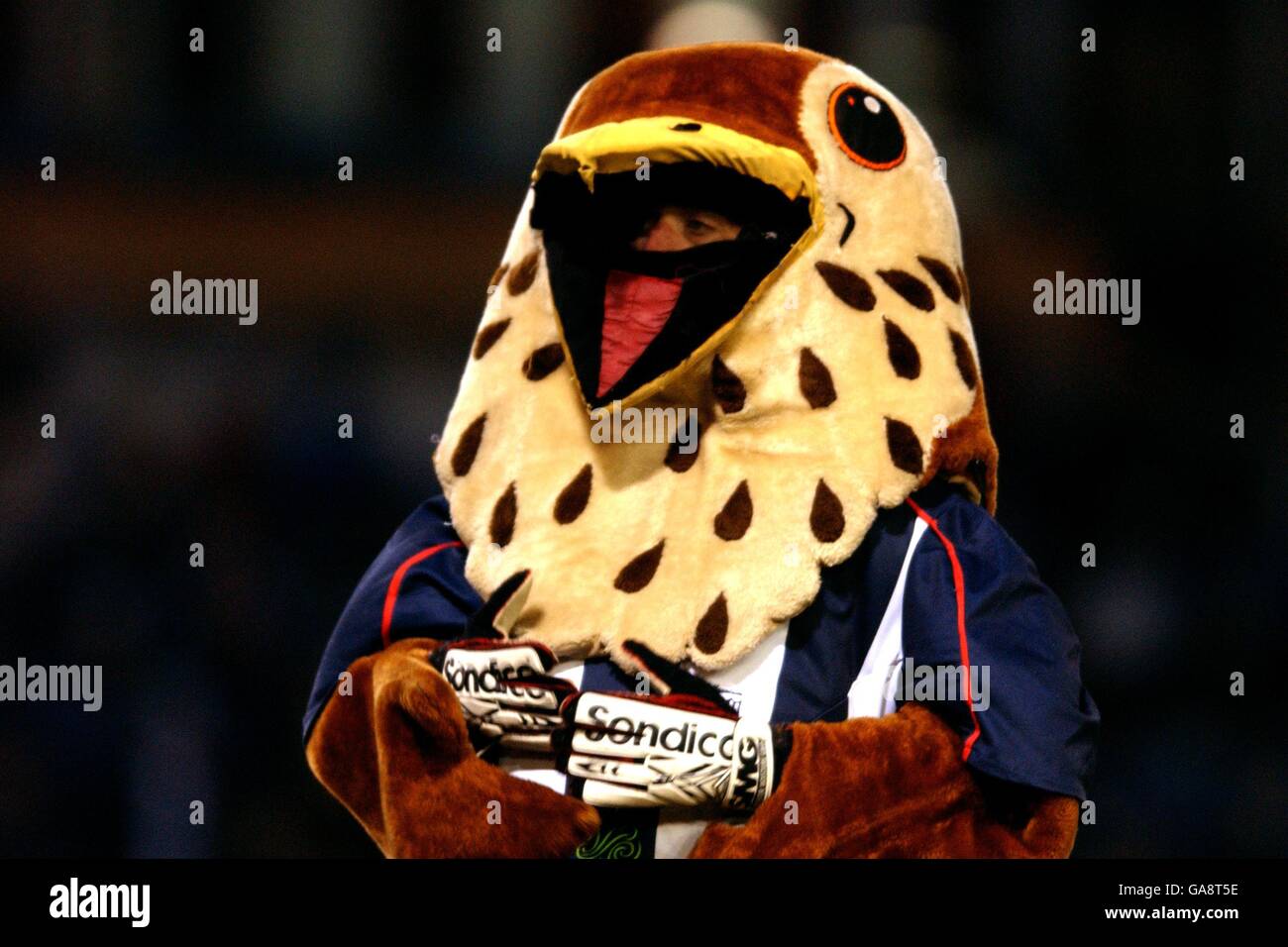 West bromwich albions mascot baggie bird hi-res stock photography and ...