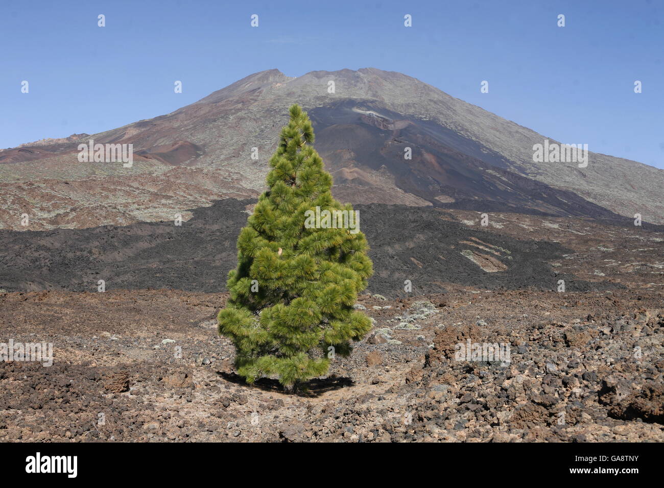 Vulkan insel hi-res stock photography and images - Alamy