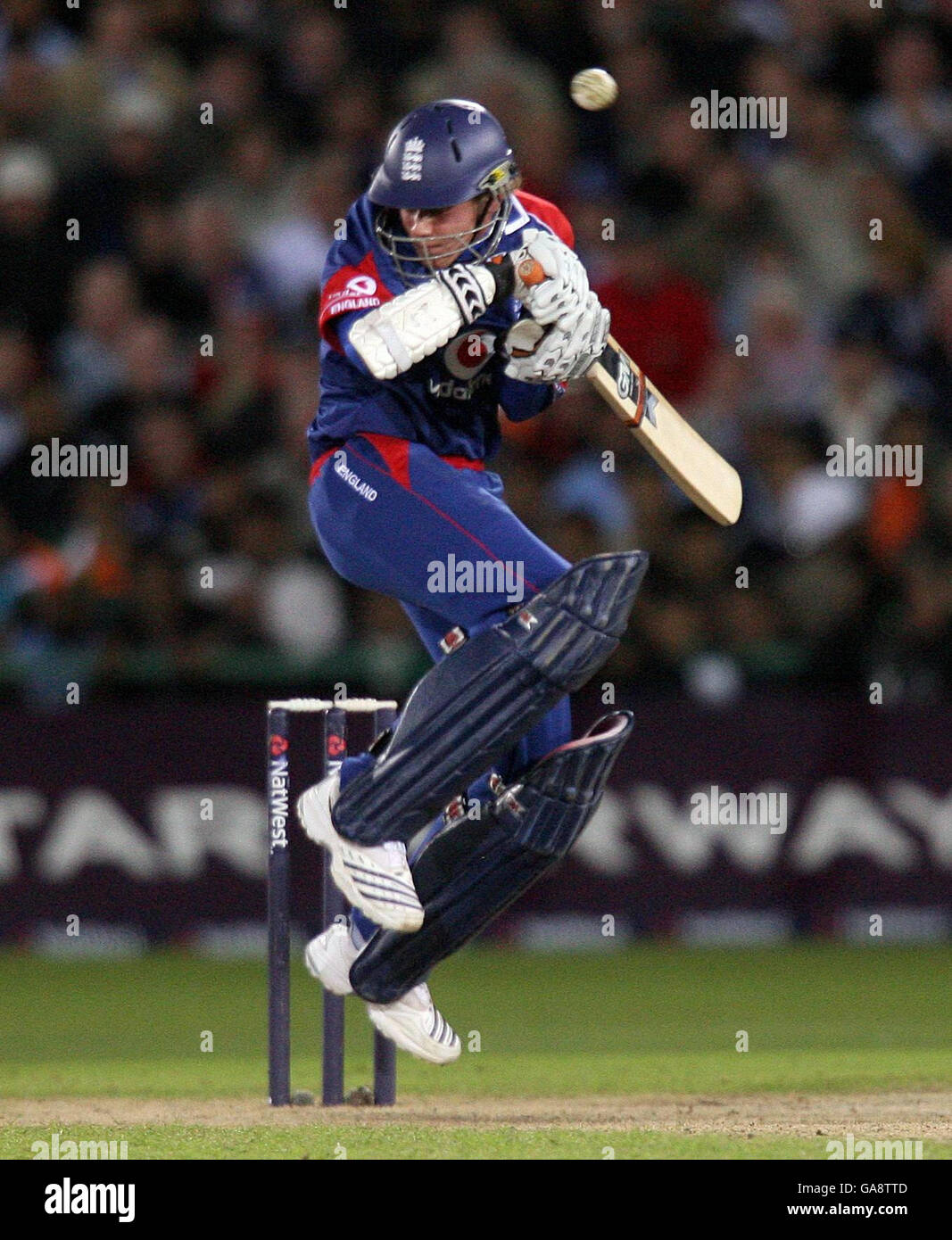 Full length action jumping mid air bat mangrk hi-res stock photography ...