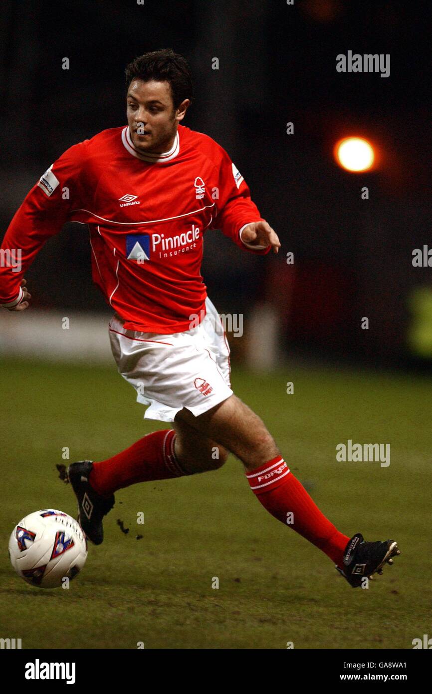 Soccer - Nationwide League Division One - Nottingham Forest v ...