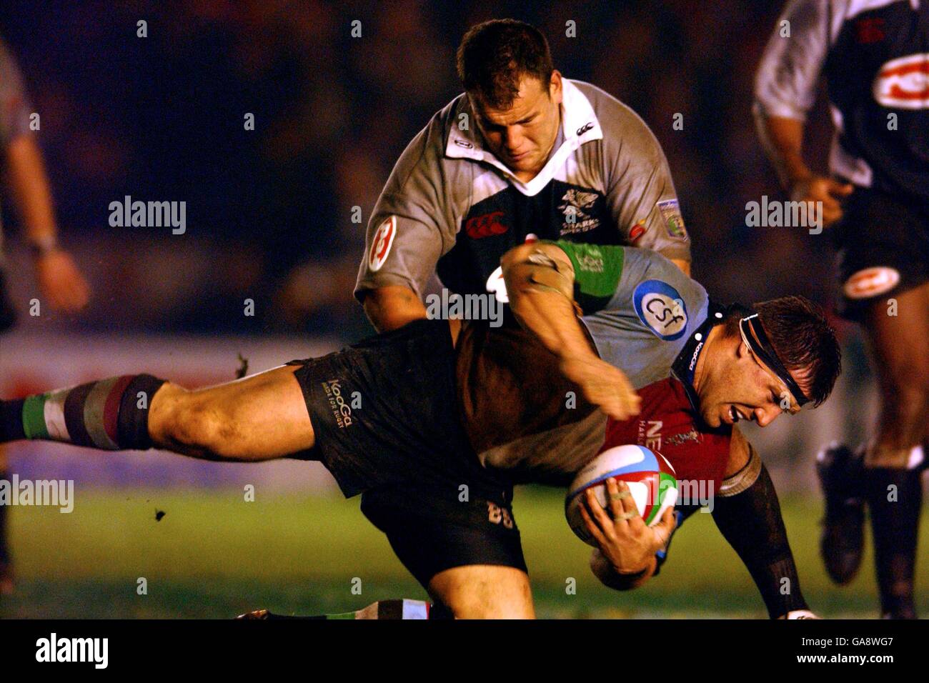 Nec harlequins bruce starr is brought down to earth hi-res stock ...