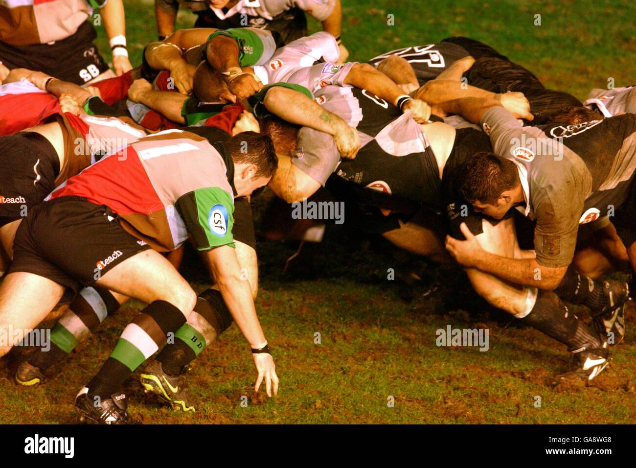 Springbok rugby action hi-res stock photography and images - Alamy