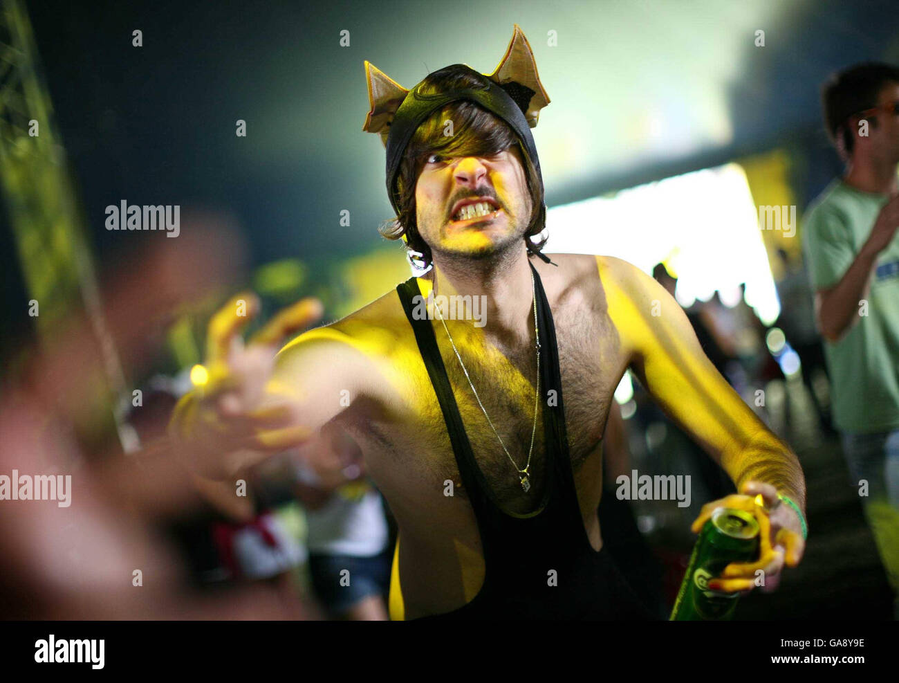 The Electric Picnic - Ireland Stock Photo - Alamy