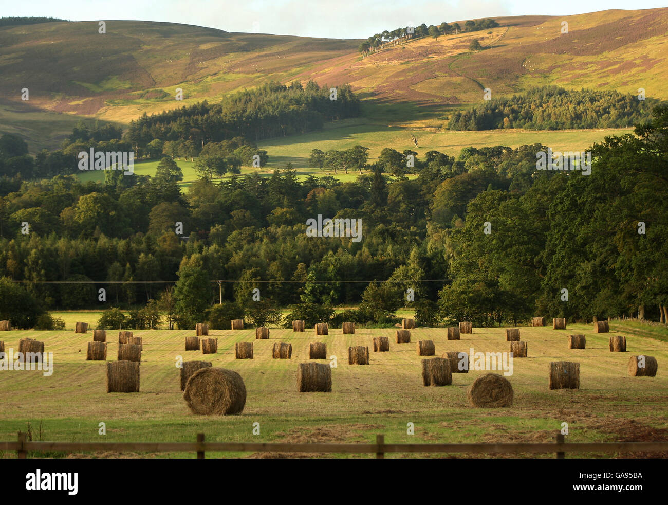Britaincollectionviewsscotland hi-res stock photography and images - Alamy
