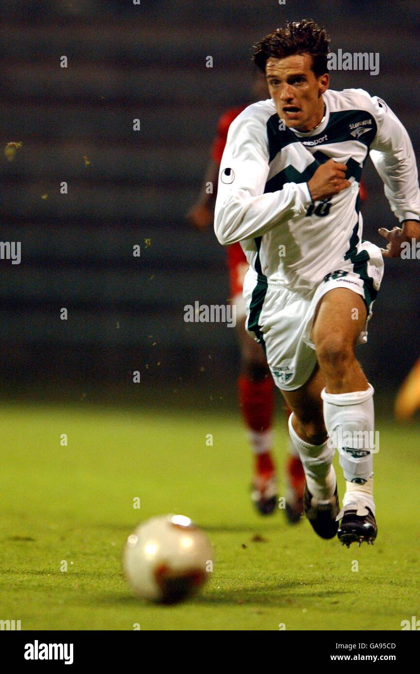International Soccer - Friendly - Slovenia v Tunisia. Milenko Acimovic ...