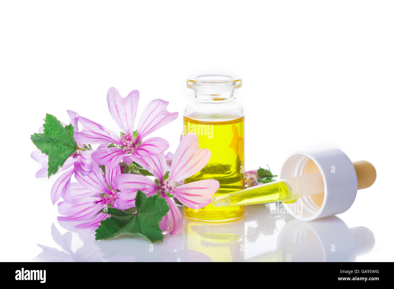 Dropper bottle with mallow malva extract or essential oil isolated on a ...