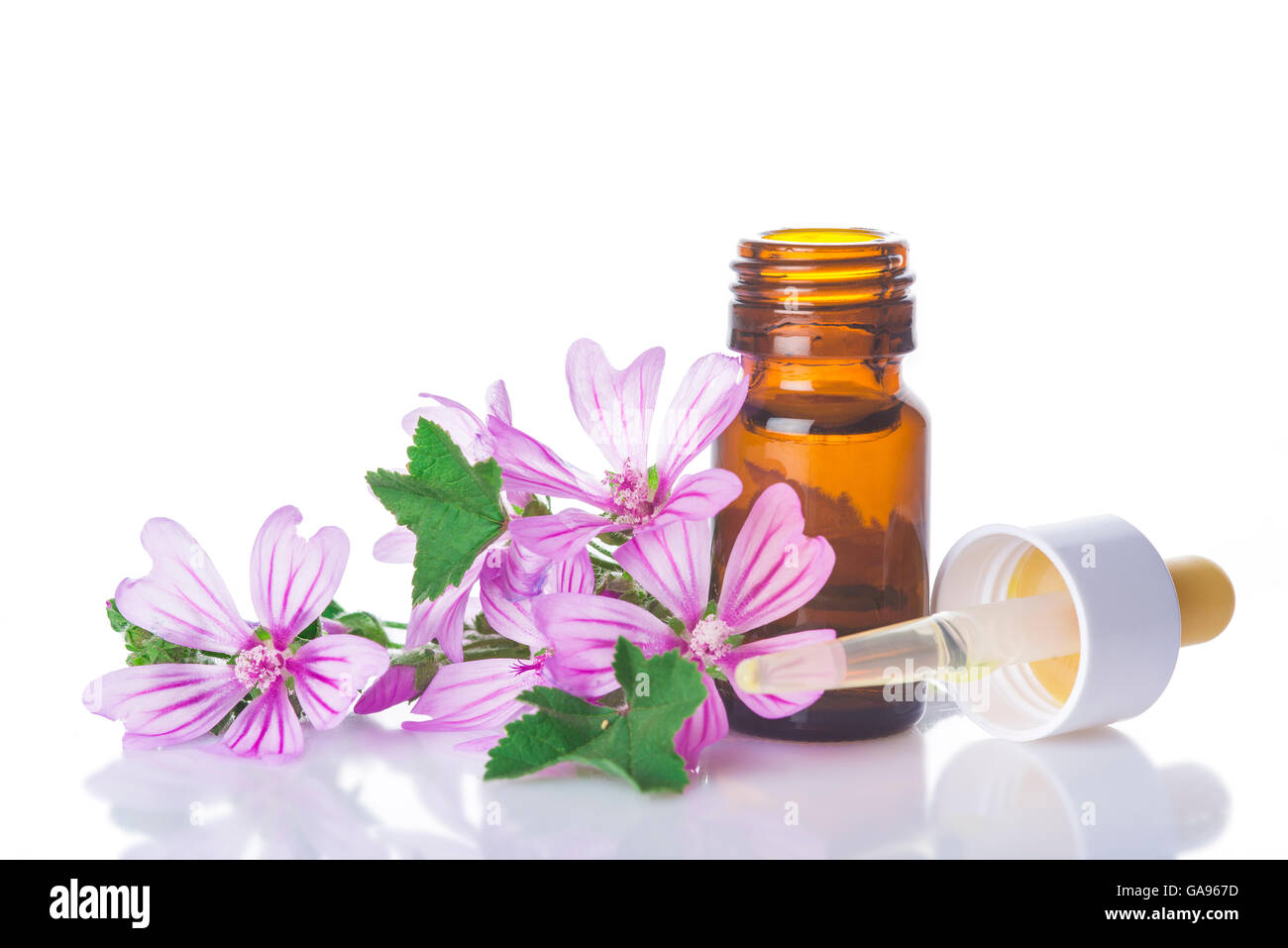 Dropper bottle with mallow malva extract or essential oil isolated on a ...