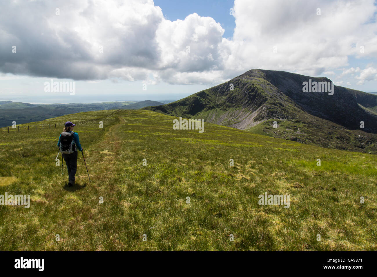 A female hiker approaching on the Nantle Ridge walk in Snowdonia, North ...