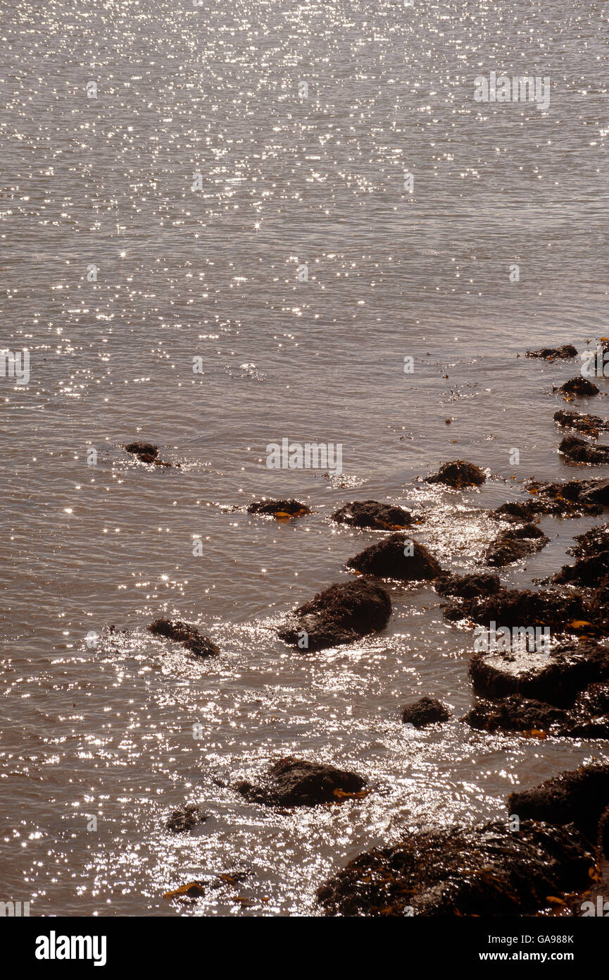 Sandhaven beach, South Shields, South Tyneside Stock Photo - Alamy