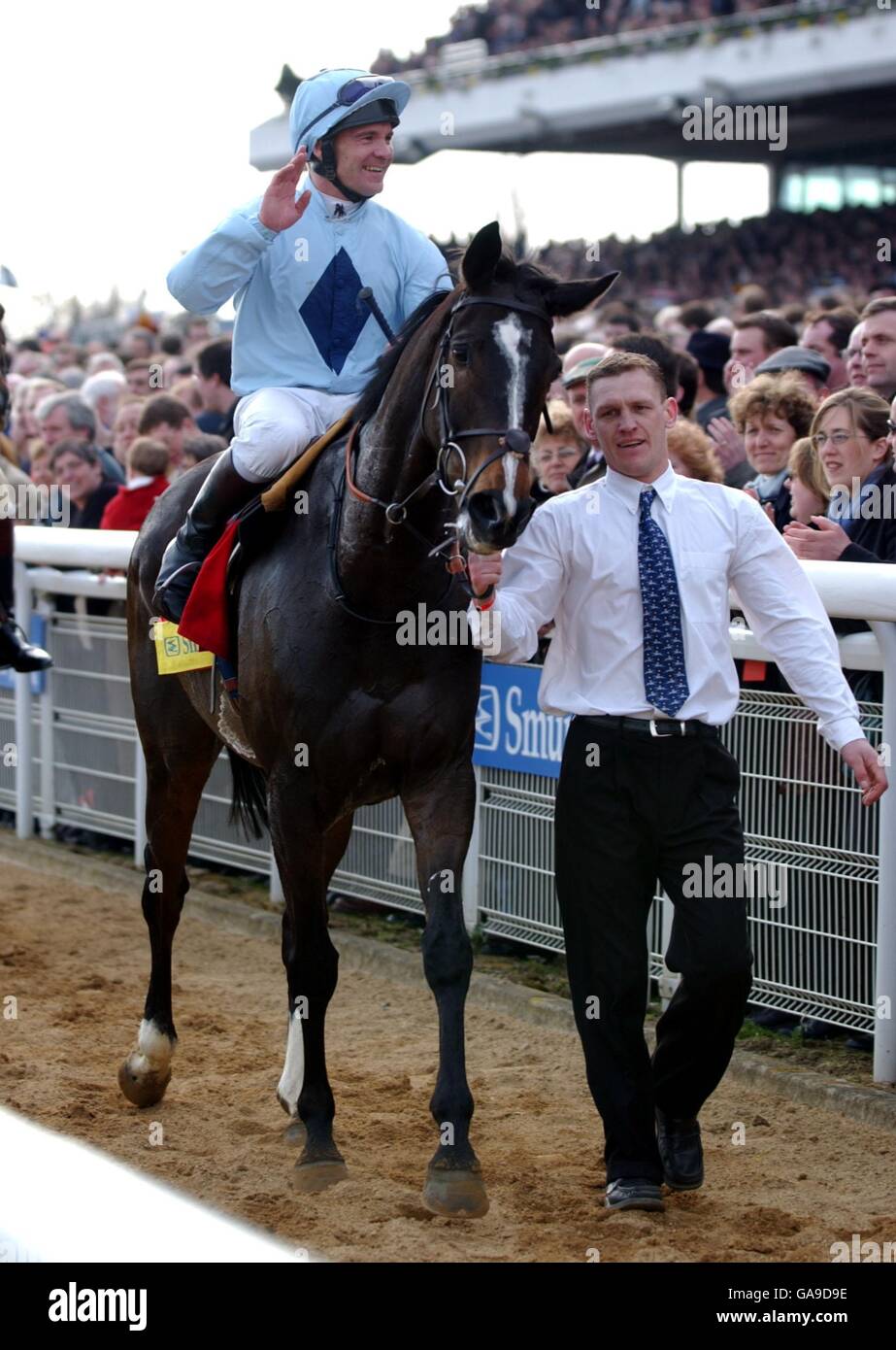 Horse Racing- Cheltenham festival Stock Photo - Alamy