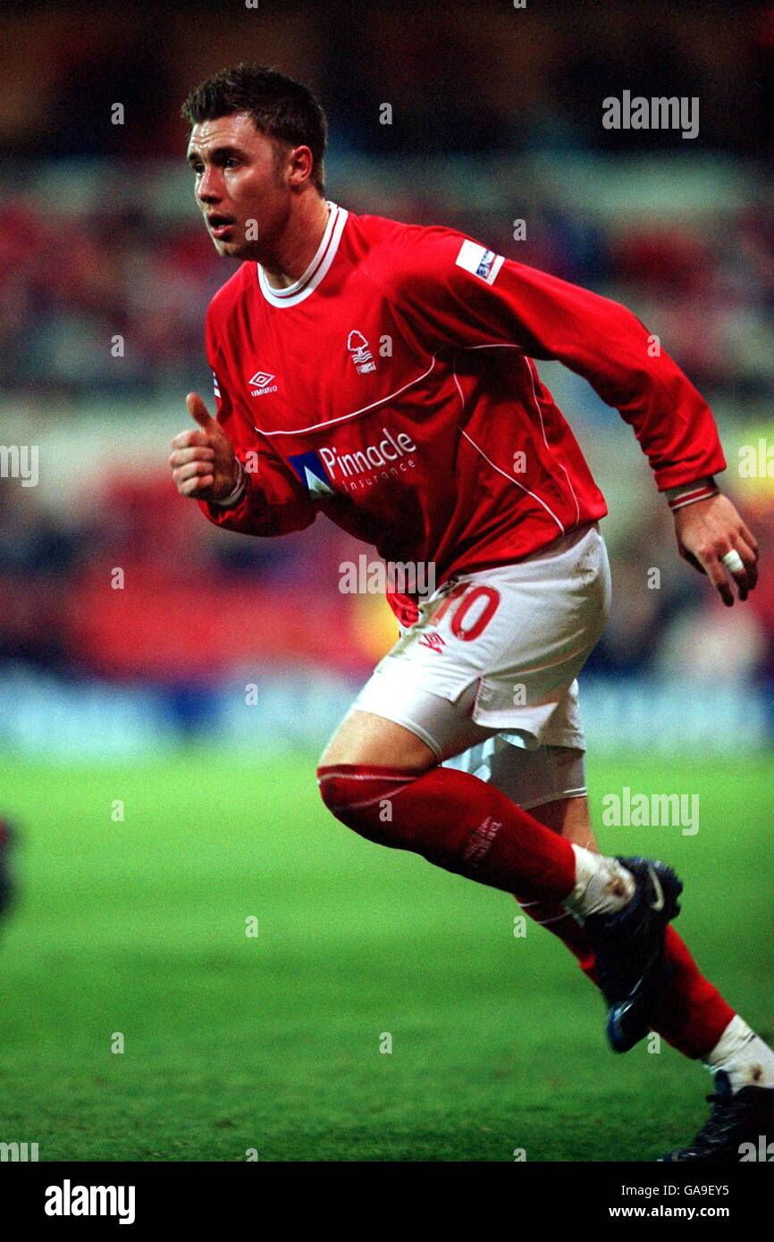 Adam proudlock forest hi-res stock photography and images - Alamy