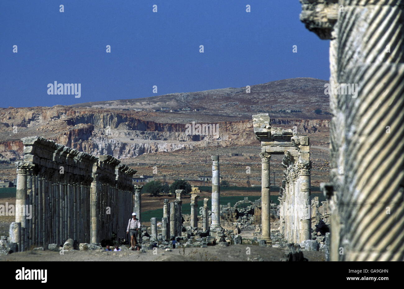 the ruins of Apamea near the city of Hama in Syria in the middle east ...