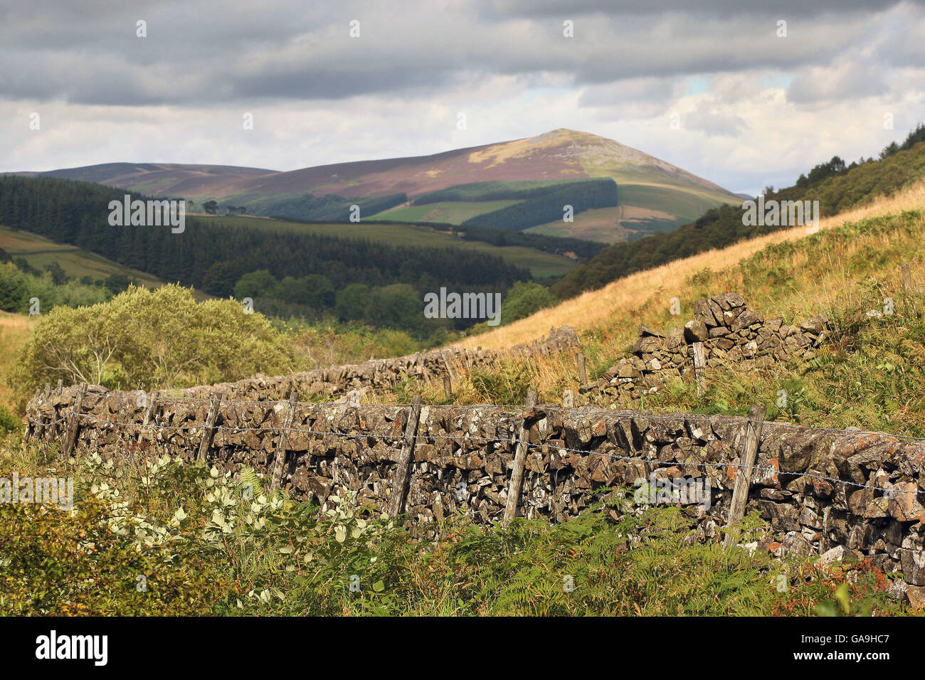 Scottish Borders Feature Stock Photo - Alamy