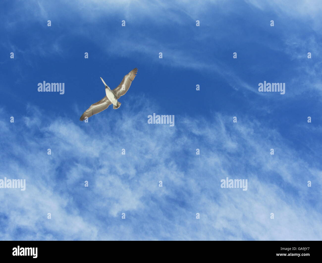 Wispy clouds overhead hi-res stock photography and images - Alamy
