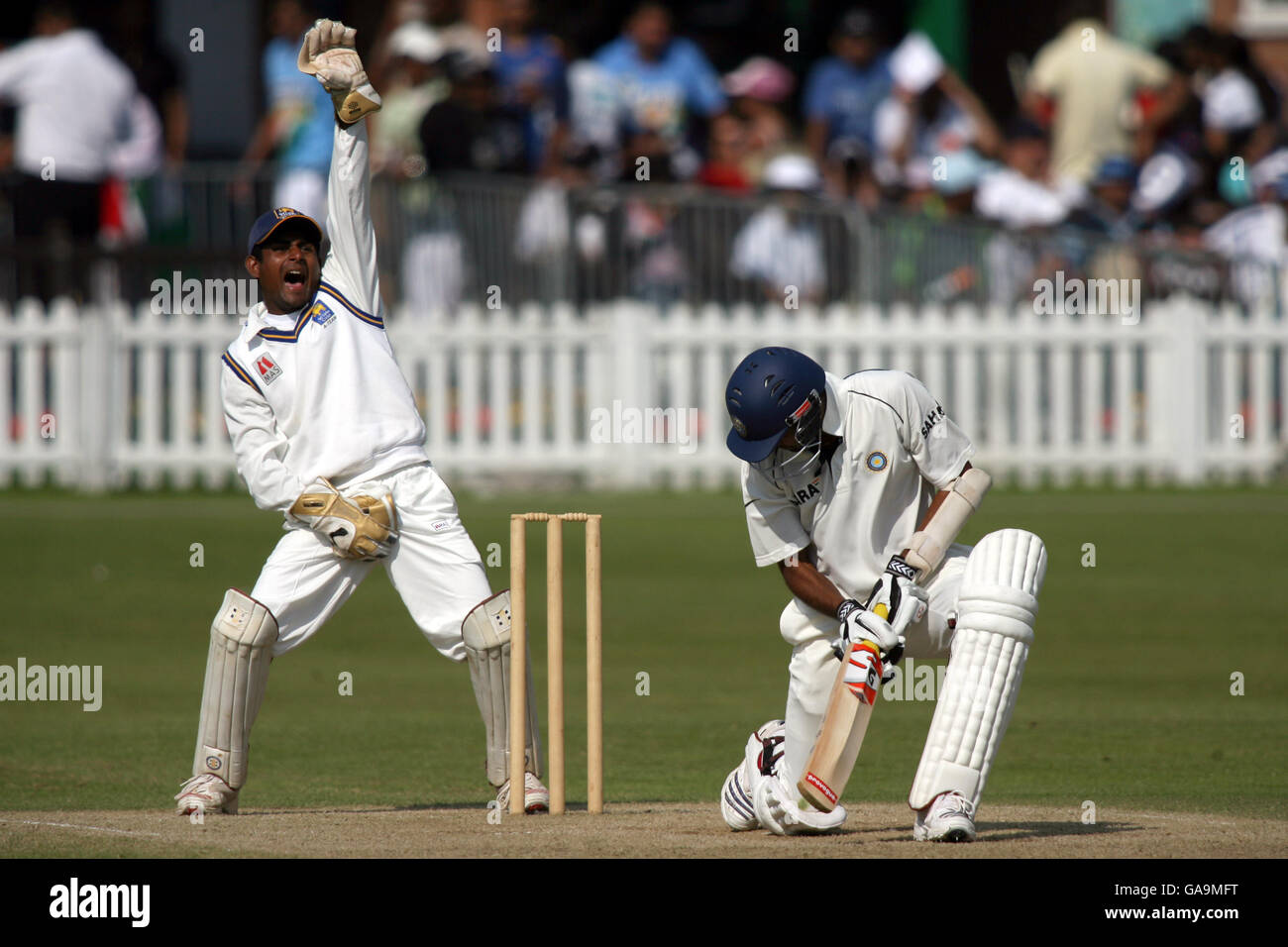 Cricket full length expression shouting hi-res stock photography and ...
