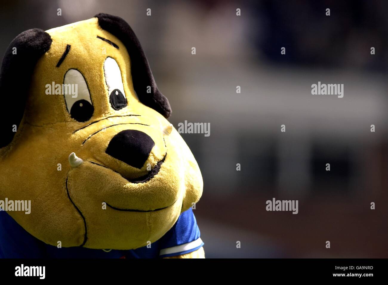 Millwall mascot hi-res stock photography and images - Alamy