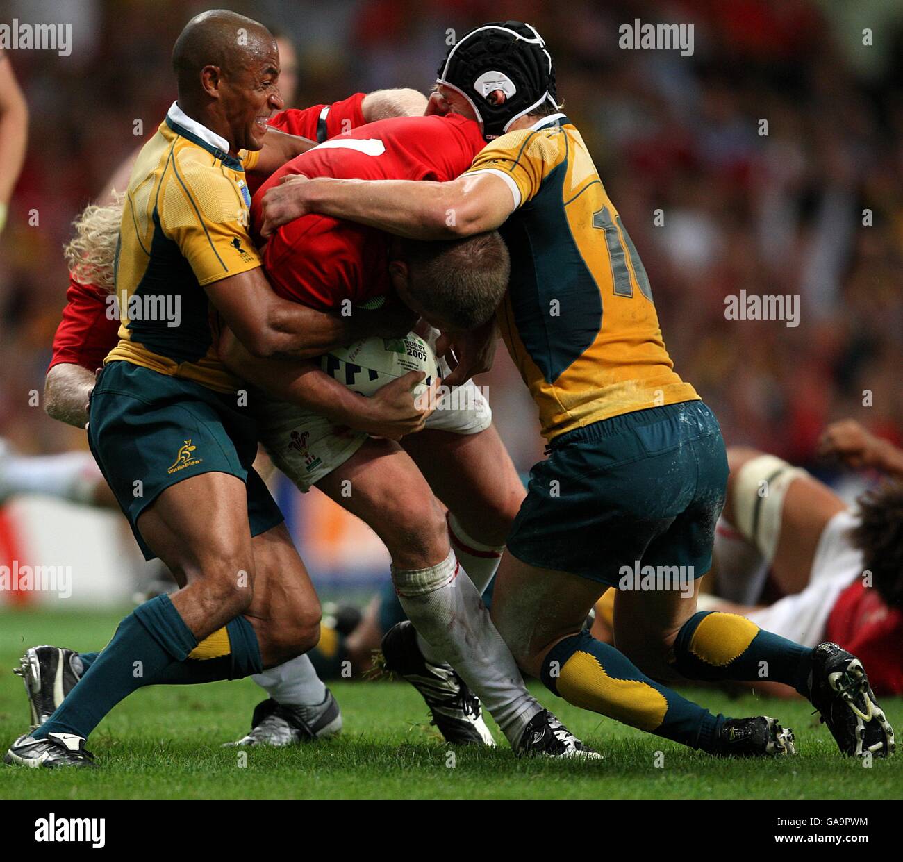 George gregan world cup hi-res stock photography and images - Alamy