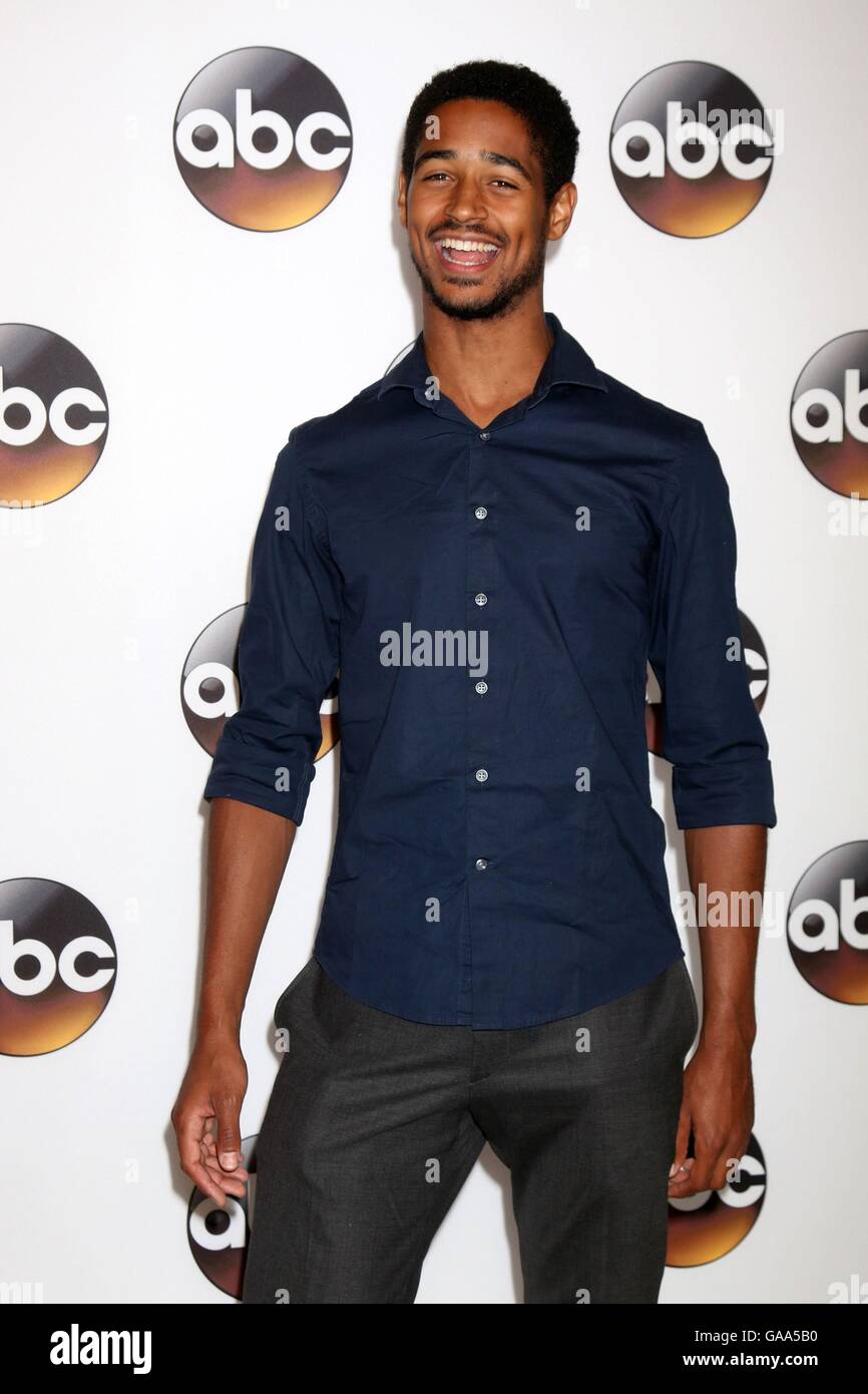 Alfred Enoch at arrivals for Disney ABC Television Group Hosts TCA ...