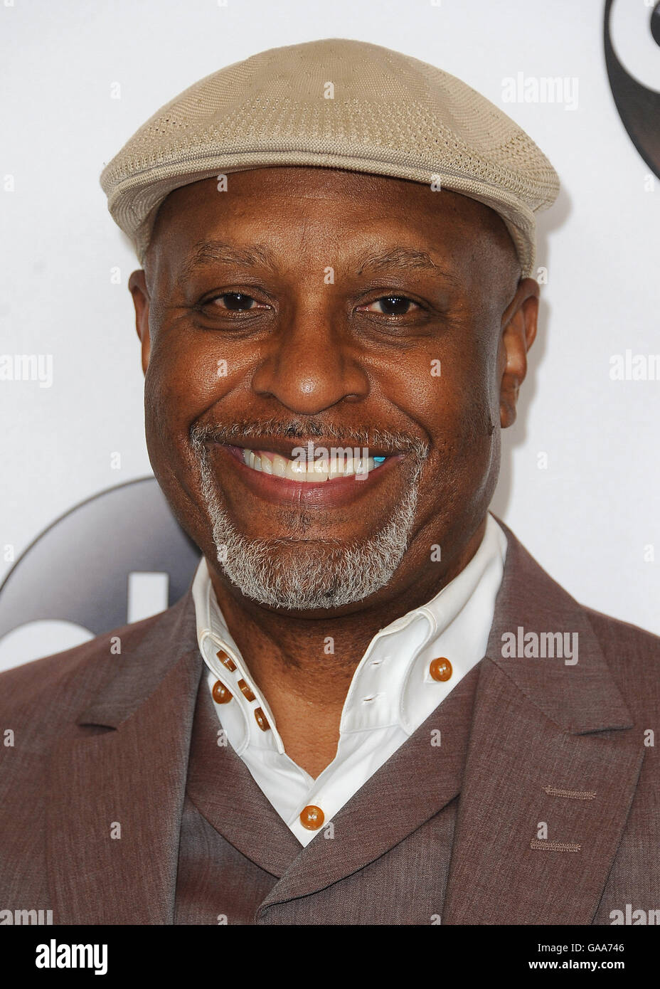 BEVERLY HILLS, CA - AUGUST 4: James Pickens Jr. at the Disney ABC 2016 ...
