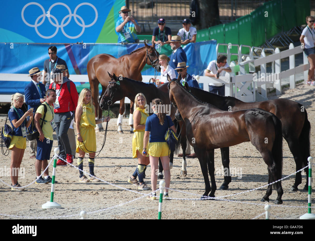 Horse inspection rio hi-res stock photography and images - Alamy