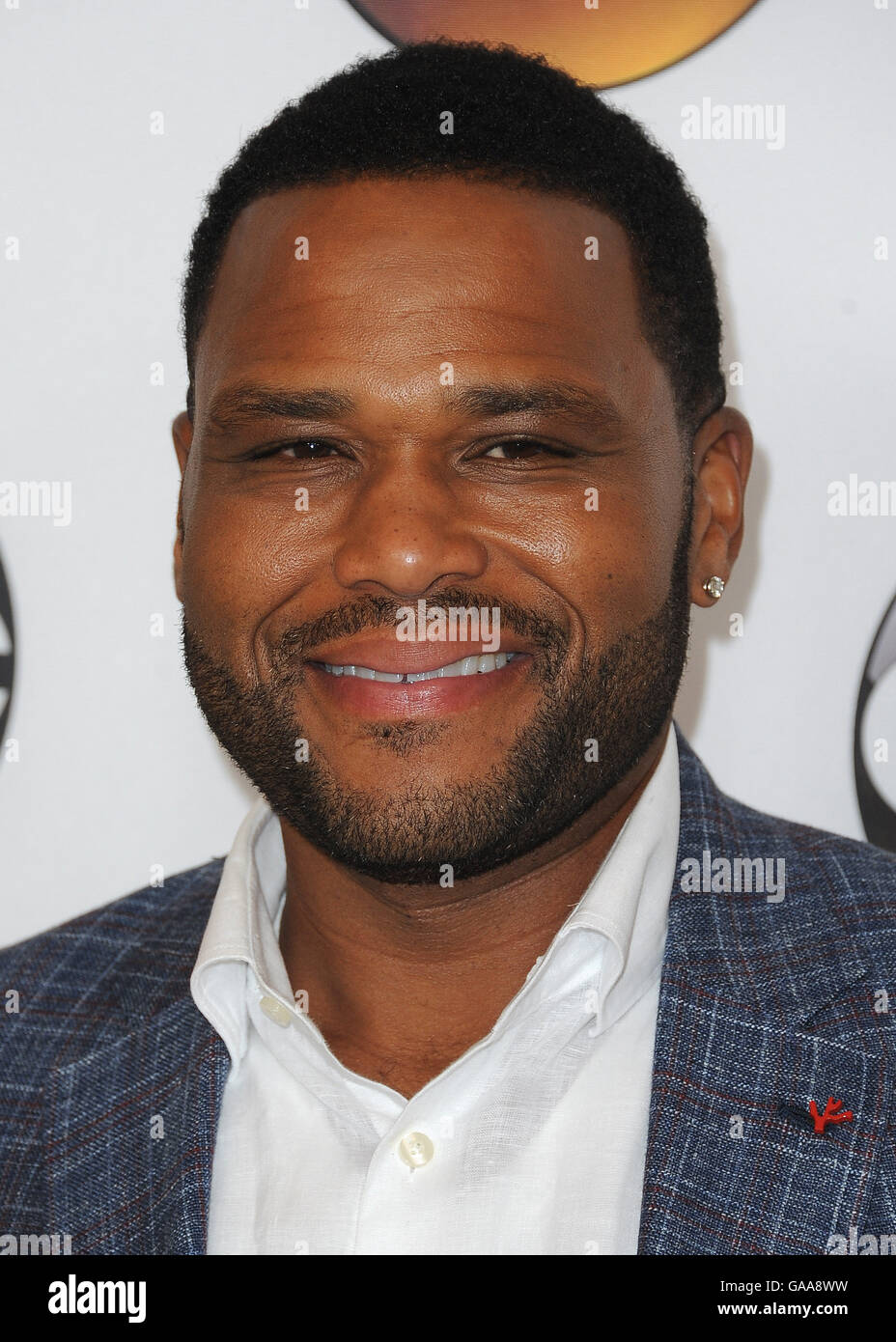 BEVERLY HILLS, CA - AUGUST 4: Anthony Anderson at the Disney ABC 2016 ...