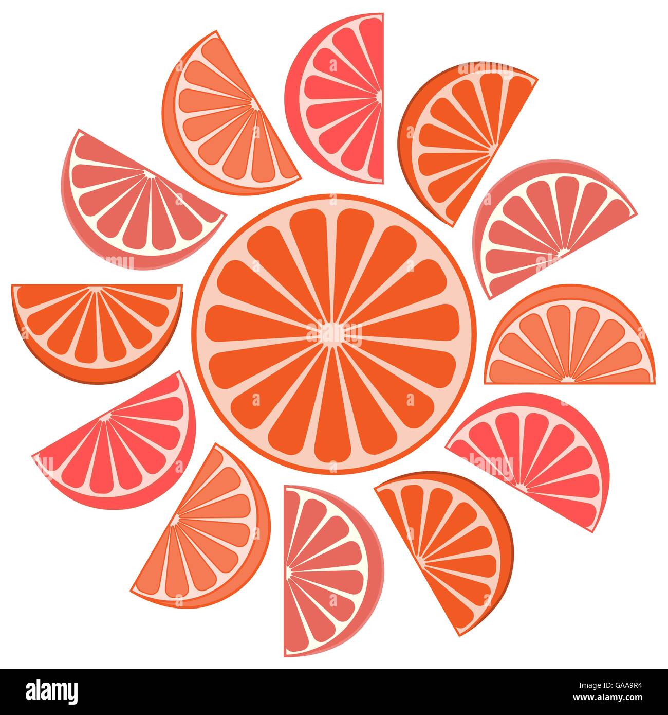Picture of appetizing orange slices on a white background Stock Vector ...