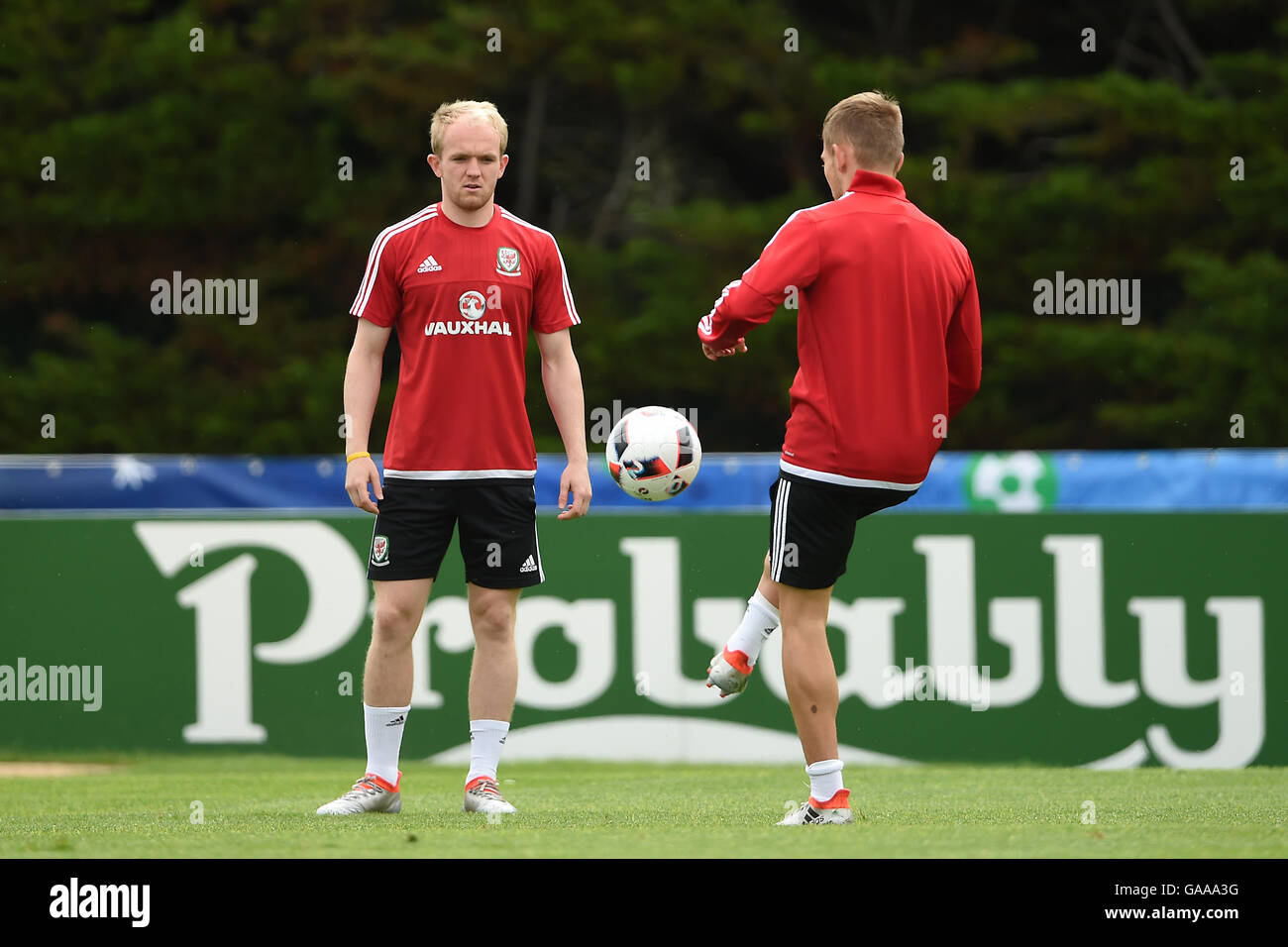 Wales' Jonathan Williams (left) and George Williams (right) during the ...