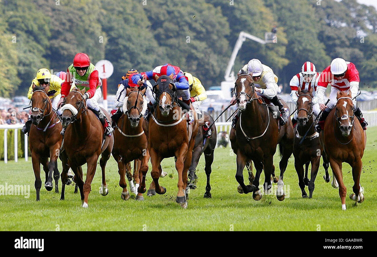 Horse Racing - Haydock Park Racecourse Stock Photo - Alamy