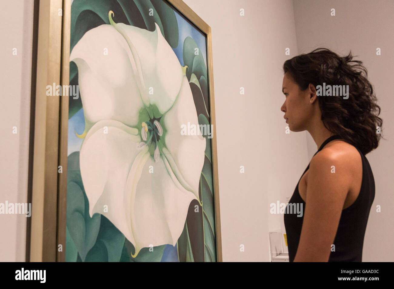 Jimson weed white flower no 1 hi-res stock photography and images - Alamy