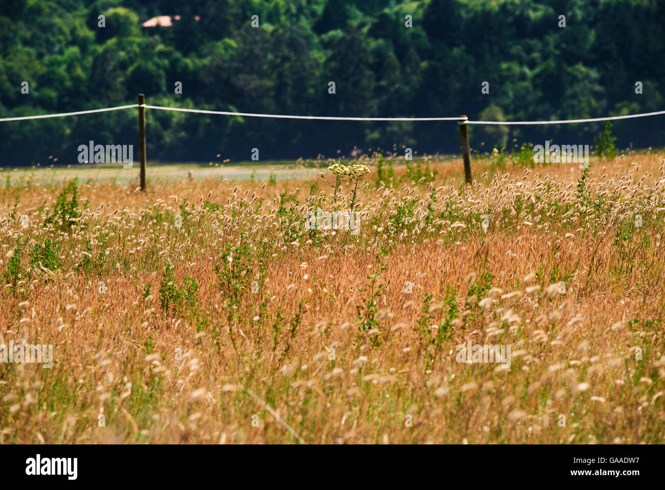Rope pole hi-res stock photography and images - Alamy