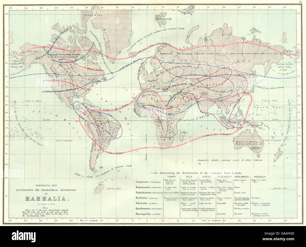 WORLD: Zoological map; Mammalia mammal distribution, 1881 Stock Photo ...