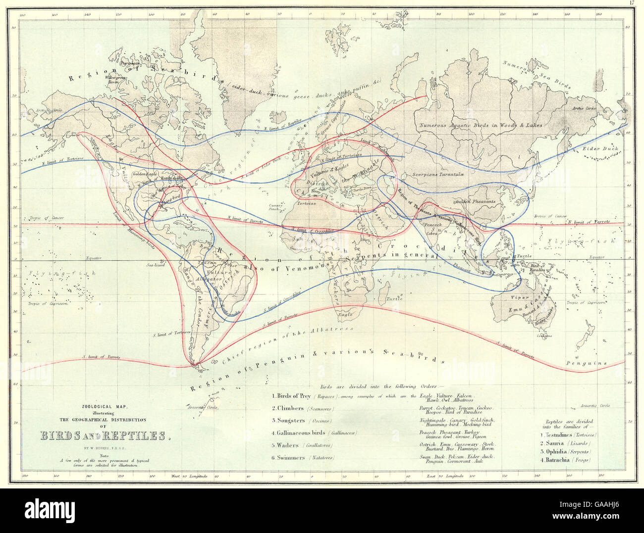 WORLD: Zoological map;Bird & Reptile distribution, 1881 Stock Photo - Alamy