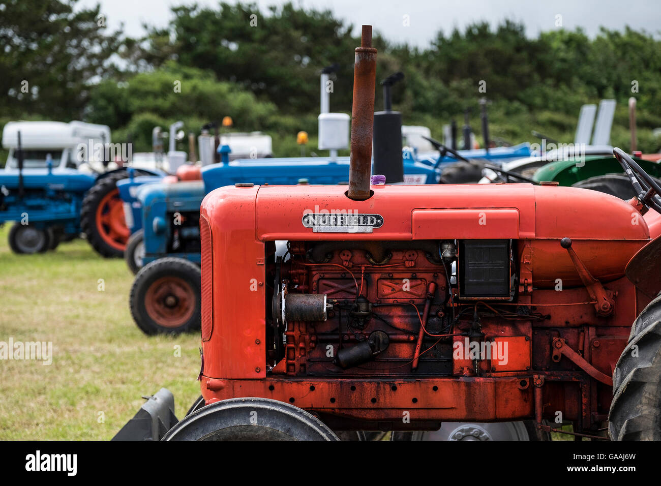 A Nuffield Universal Four vintage tractor on display at the Padstow ...