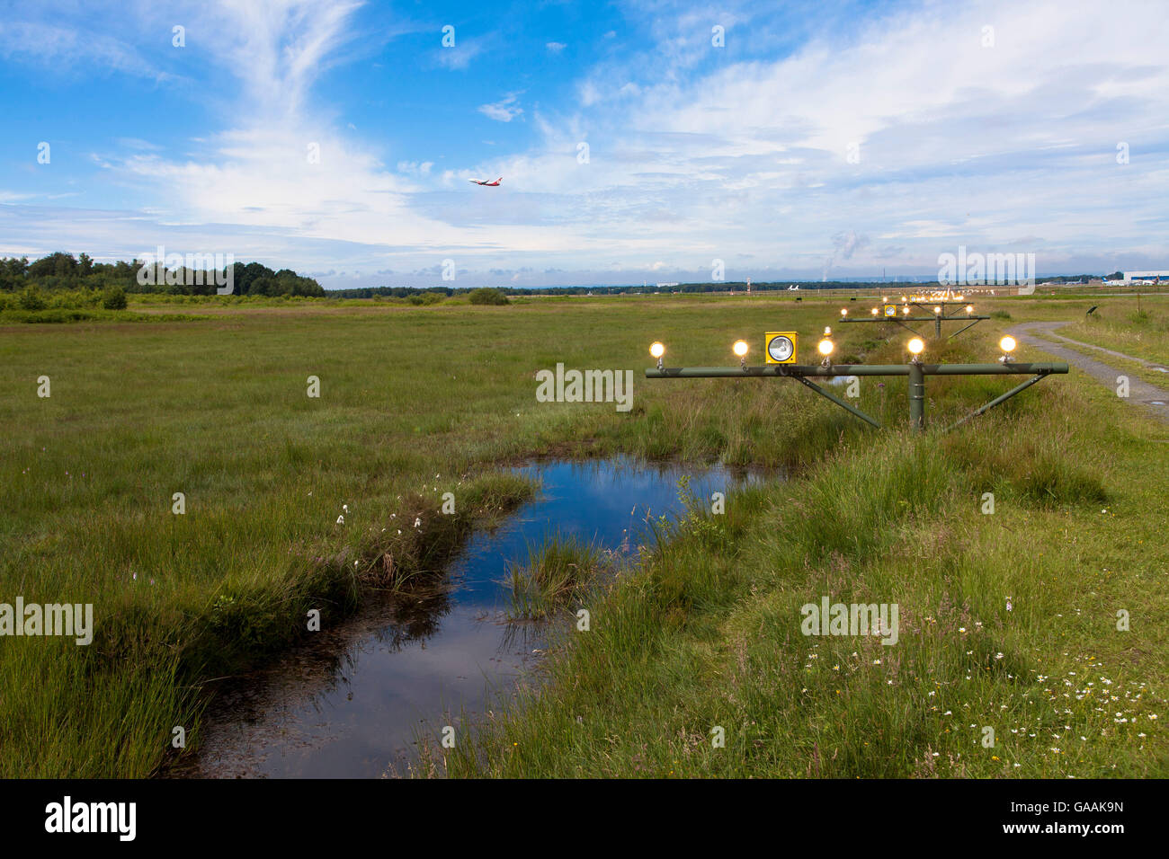 Germany, Troisdorf, ditch in the Herfeld bog in the Wahner Heath ...