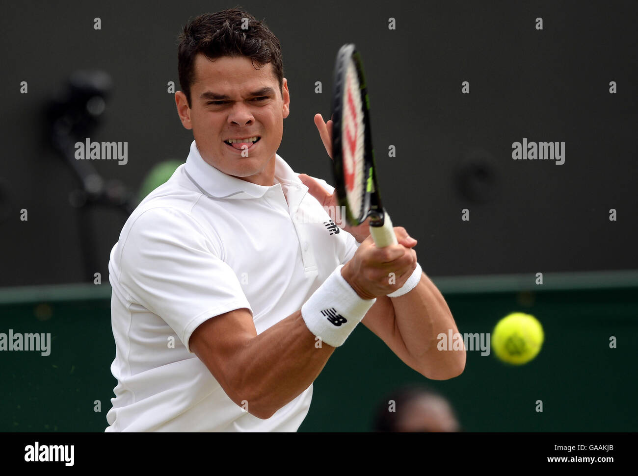 Milos Raonic in action against David Goffin on day seven of the ...