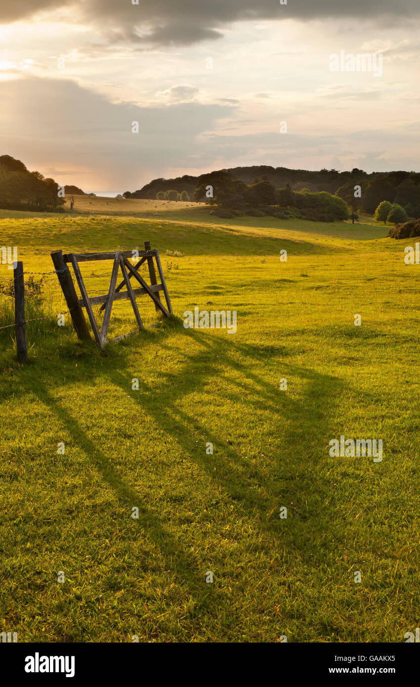 Sheringham Park at sunset in Norfolk, England, UK Stock Photo - Alamy